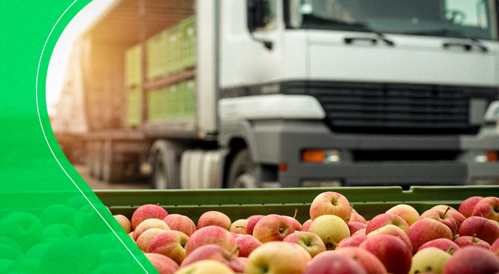 Logística de produtos perecíveis: estratégias e desafios